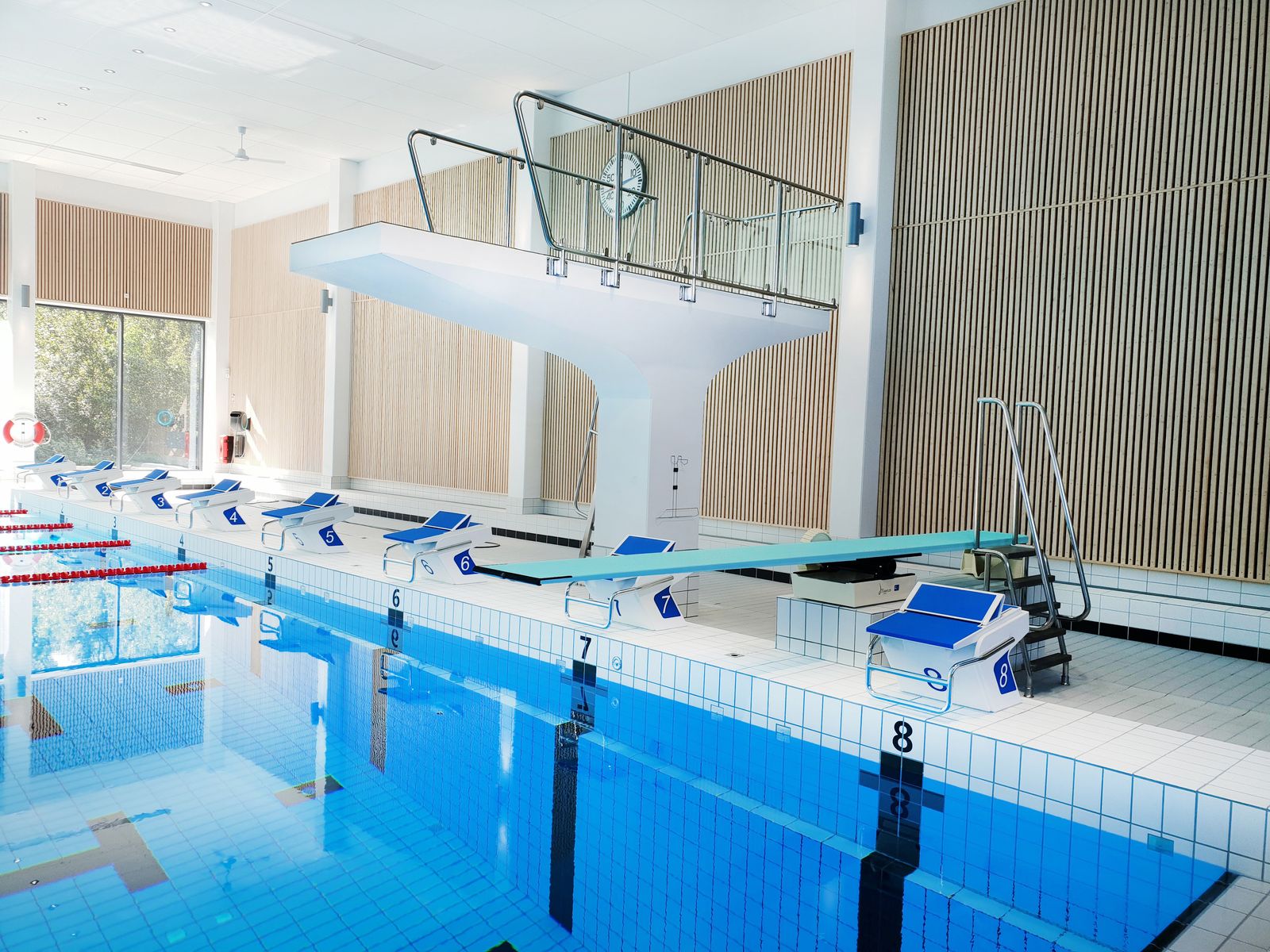 Redirecting to: /pingvinen